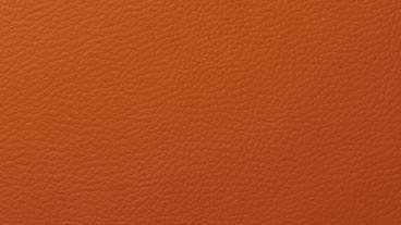 Padding - Orange Color Option - Panatta Australia