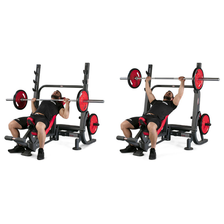 Olympic Incline Bench Press - Panatta Australia | Panatta Australia