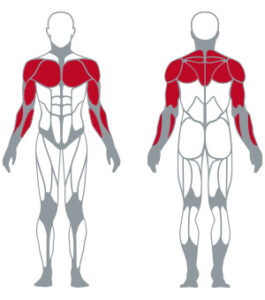 SUPER HORIZONTAL MULTI PRESS / 1FW042 - Panatta Australia | Panatta ...