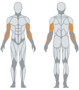 STANDING TOTAL ARMS / 1FE055 - Panatta Australia | Panatta Australia