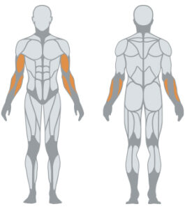 ALTERNATE PREACHER CURL MACHINE / 1FE052 - Panatta Australia | Panatta ...